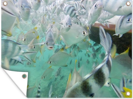 Tuin decoratie School vissen - 40x30 cm | bol