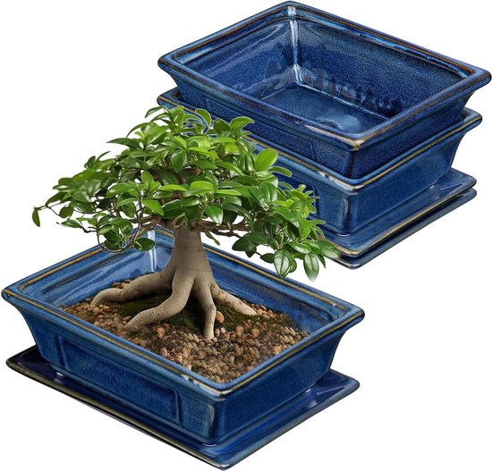 Bonsai keramische potten - Set van 2 met onderzetters en drainagegaten ...