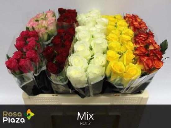 100x Rosa mix vast ammerlaan 50cm | bol