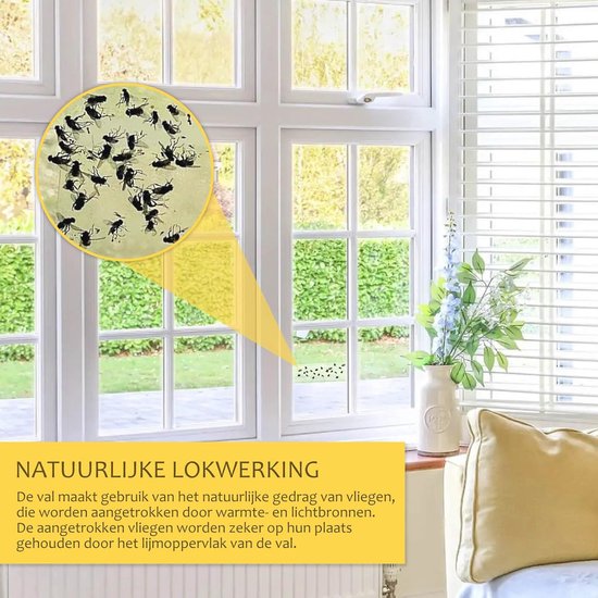 Effectieve Vliegenval voor Binnen - 40 Stuks Transparante, Gifvrije ...