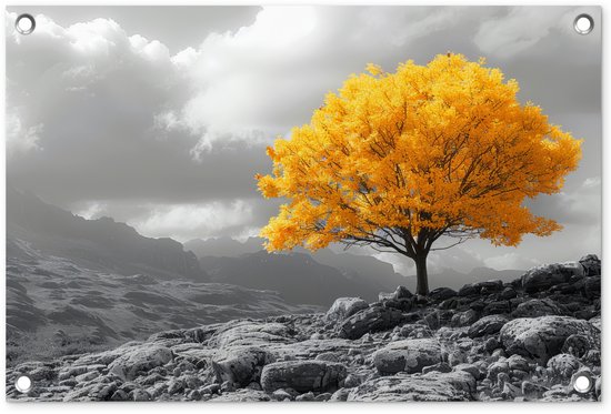 Tuinposter 60x40 cm - Tuindecoratie Boom - Geel - Natuur - Zwart wit ...