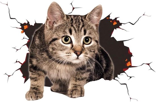 Grappige 3D-sticker kat voor auto decoratie - afneembare kattensticker ...