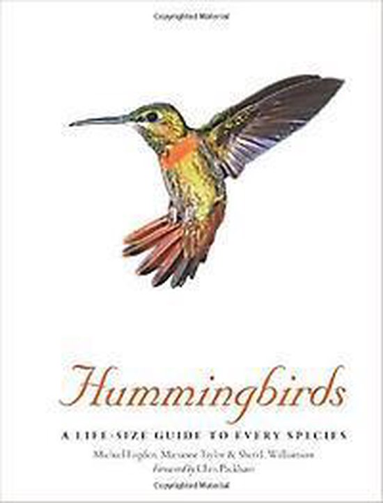 Hummingbirds, Michael Fogden | 9781782400899 | Boeken | bol.com