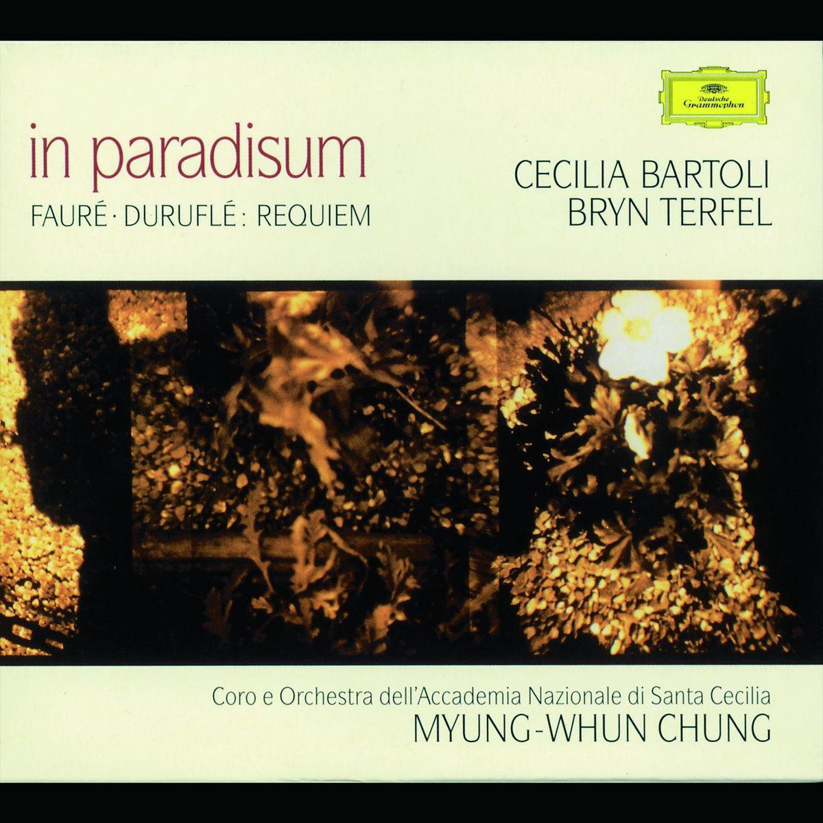 In Paradisum, Gabriel Faure | CD (album) | Muziek | bol.com