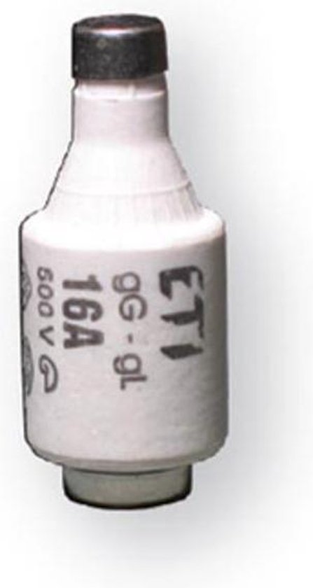 ETI Diazed DII - zekering - porselein - 6 Amp - DZ snel | bol.com
