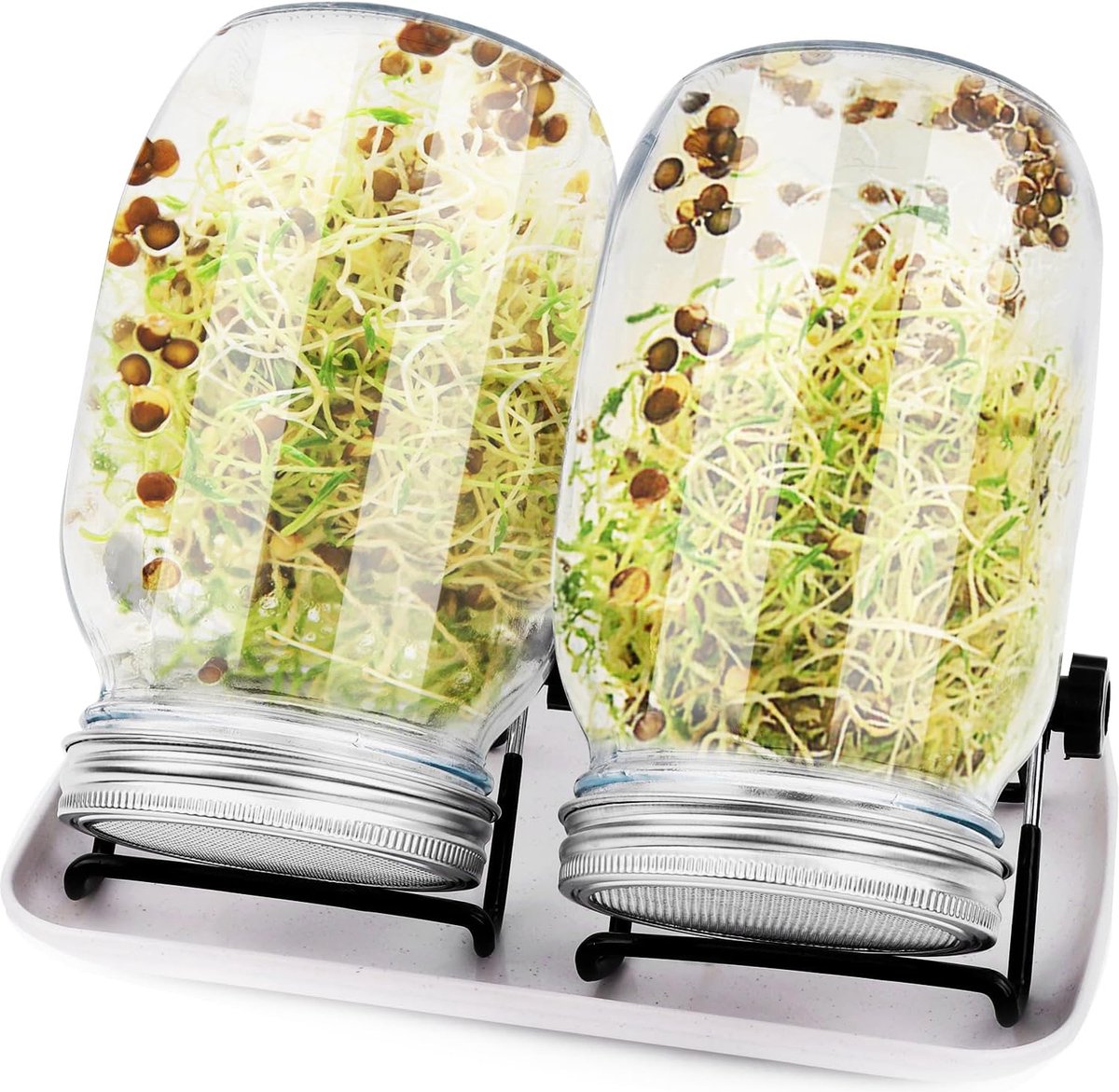 Kiemglas, set van 2 stuks, 1000 ml, kiemapparaat met deksel, standaard ...