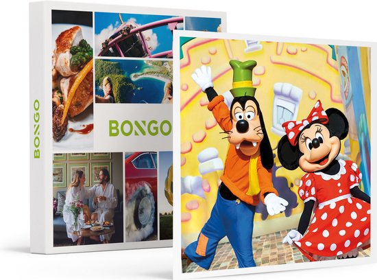 Bongo Bon - 1 DAG DISNEYLAND PARIS® VOOR 2 PERSONEN: REGULAR-TICKET ...