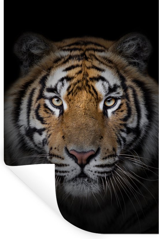 Muurstickers - Sticker Folie - Tijger - Wilde dieren - Portret - Zwart - Dieren -... | bol