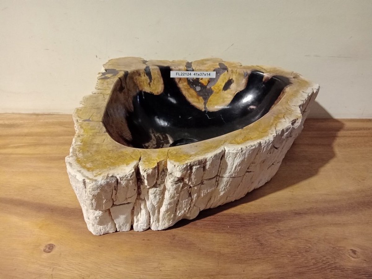 Waskom van versteend hout - 41x37x15cm - FL22124 | bol