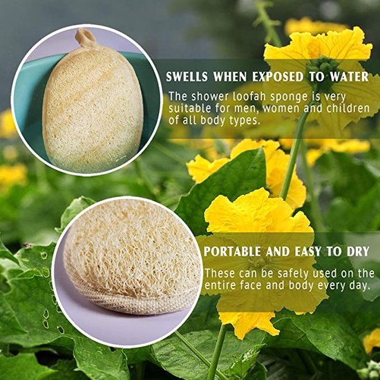 Natuurlijke exfoliërende Loofah-spons (4-packs), gemaakt met ...