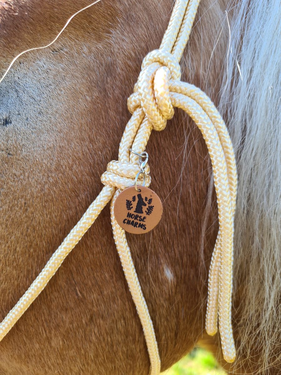 Horse Charms Touwhalster Basic 'Classic Champagne' - Cob | bol.
