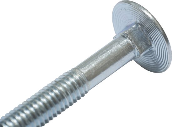 Wovar Slotbouten Verzinkt M16 x 100 mm | 25 stuks | bol