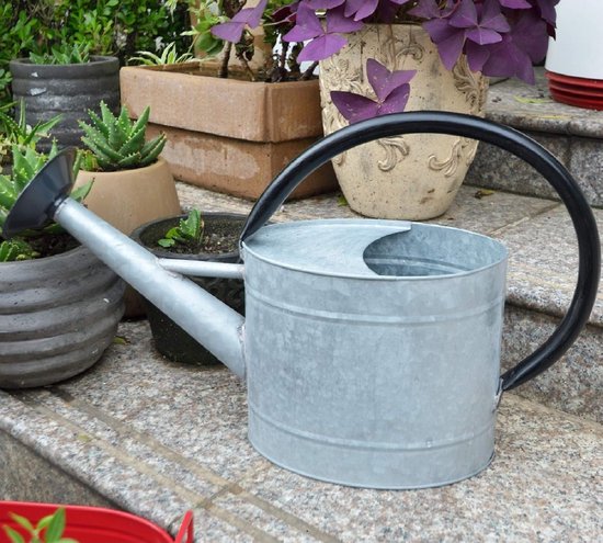 Gieter van verzinkt staal, decoratieve witte gieter in boerderijstijl ...