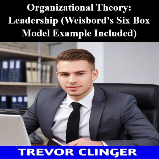 Organizational Theory: Leadership (Weisbord's Six Box Model Example ...