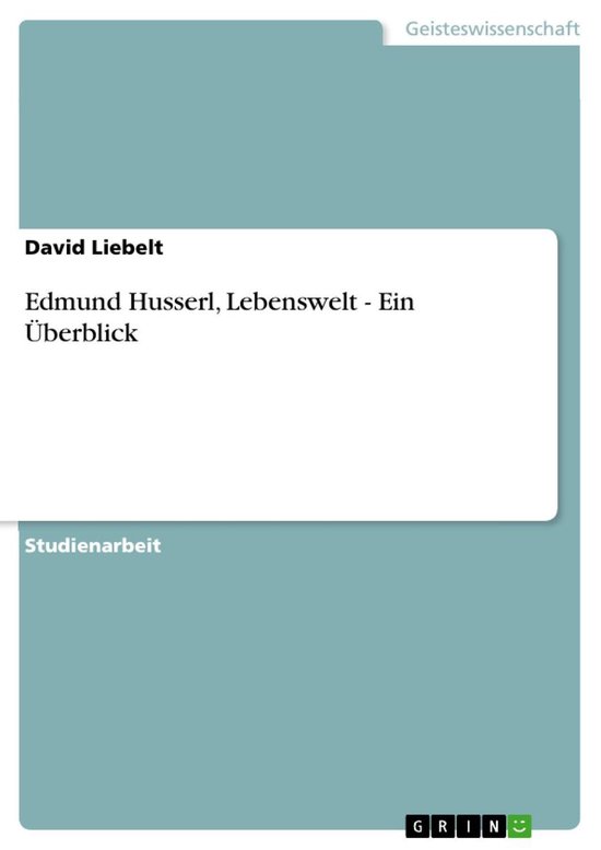 Edmund Husserl, Lebenswelt - Ein Berblick (ebook), David Liebelt ...