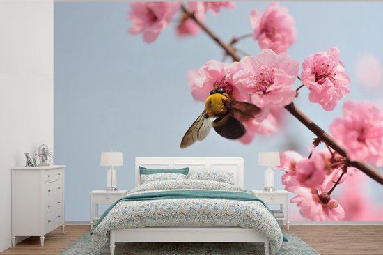 Behang - Fotobehang Bij - Roze bloesem - Lente - Breedte 525 cm x ...