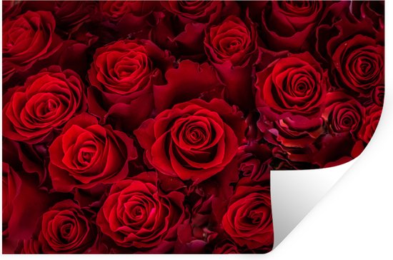 Muurstickers - Sticker Folie - Bloemen - Rozen - Rood - 120x80 cm ...
