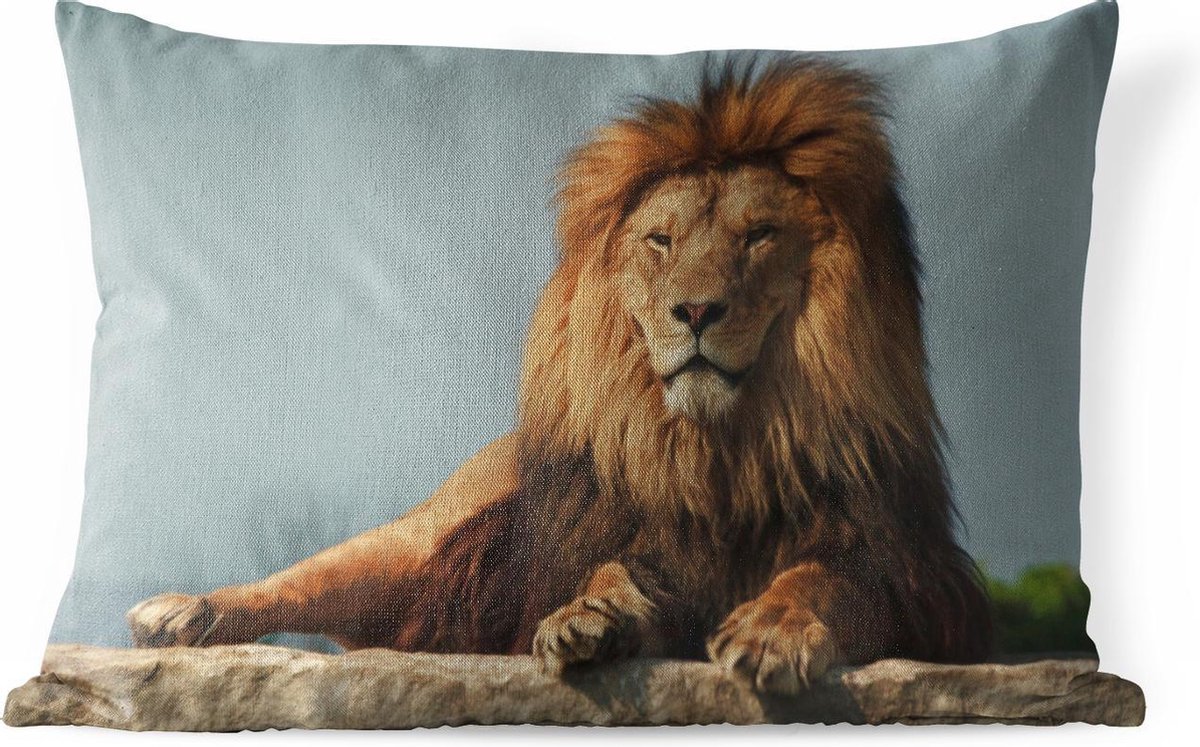 Buitenkussens - Tuin - Liggende leeuw - 60x40 cm | bol