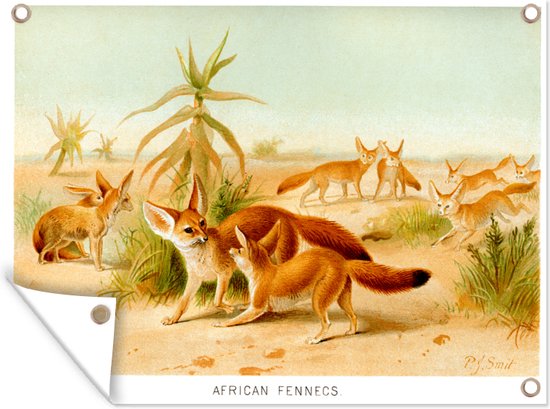 Tuin decoratie Illustratie van een fennek in de woestijn - 40x30 cm - Tuindoek -... | bol