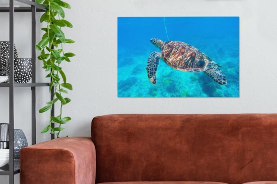 Canvas Schilderij Schildpad - Zee - Blauw - 90x60 cm - Wanddecoratie | bol.com