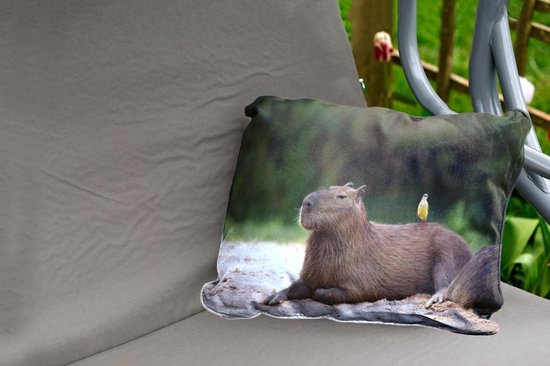 Sierkussen Capibara voor buiten - Een Capibara met een klein vogeltje ...
