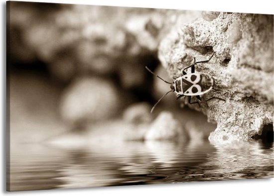 Schilderij Op Canvas - Groot - Insect - Sepia - 140x90cm 1Luik ...