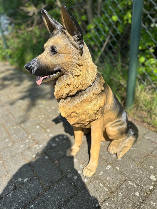 Goodyz- Huisdieren - Honden - Herder - Herders hond - Duitse Herder- super mooi beeld... | bol