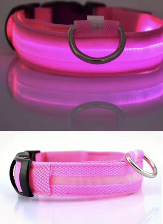 CHPN - LED-Halsband - Lichtgevende Honden halsband - Halsband - Roze ...