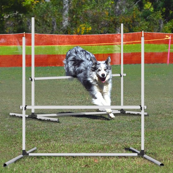 Aufun Honden Agility Training Set - Hindernissen voor training - 4x ...