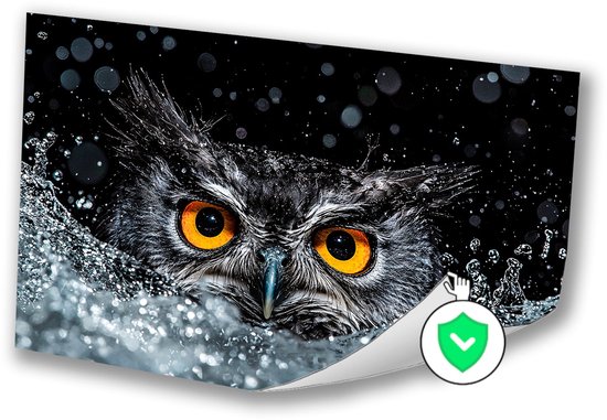 Uil met intense oranje ogen - Uil poster - Poster water - Hyperrealisme ...