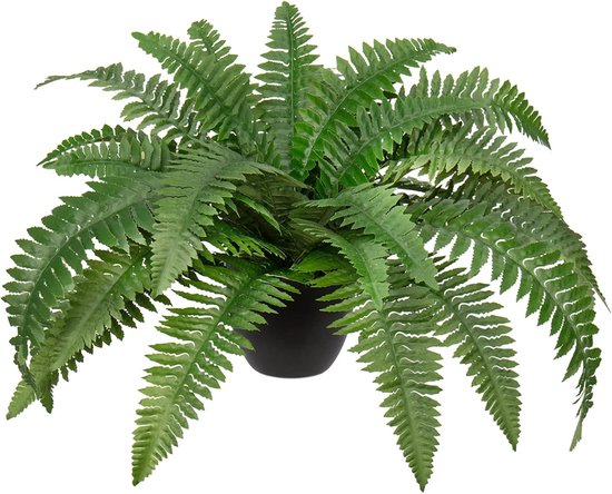 Groene Sierlijke Kunstvaren in Zwarte Pot - Luxe Decoratie voor Binnen ...