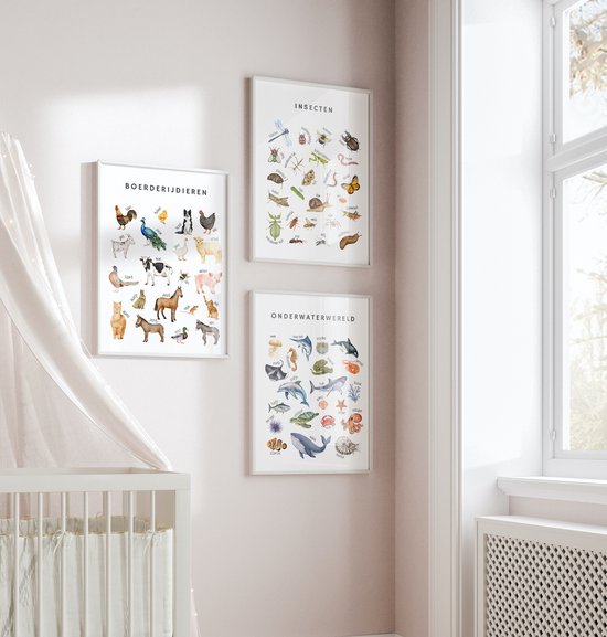 No Filter - Educatieve poster - zeedieren poster - 30x40 cm - A3 ...