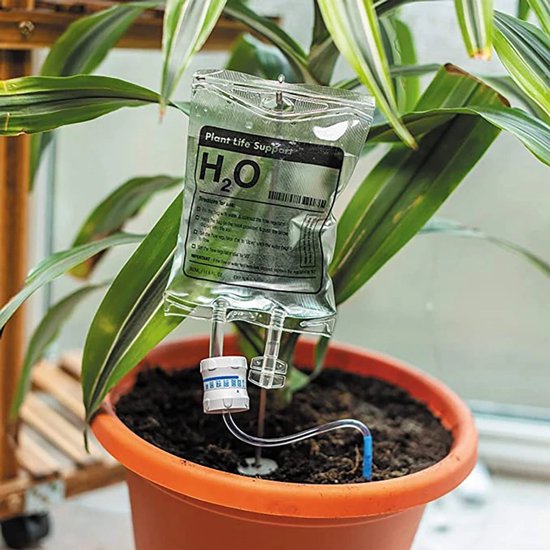 Plant infuus H2o - Automatisch bewateringssysteem planten ...