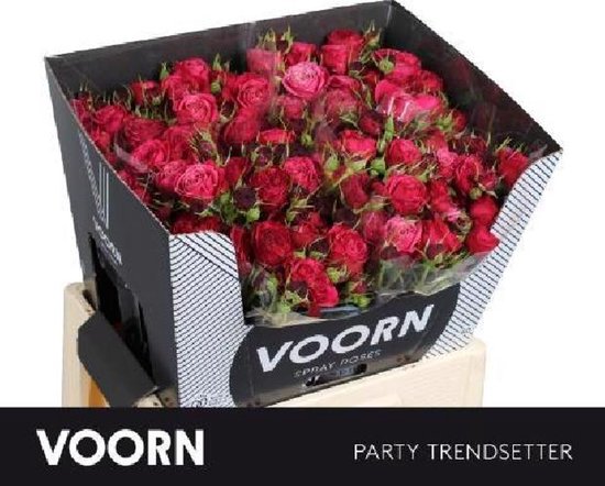 10x Rosa party trendsetter 60cm | bol