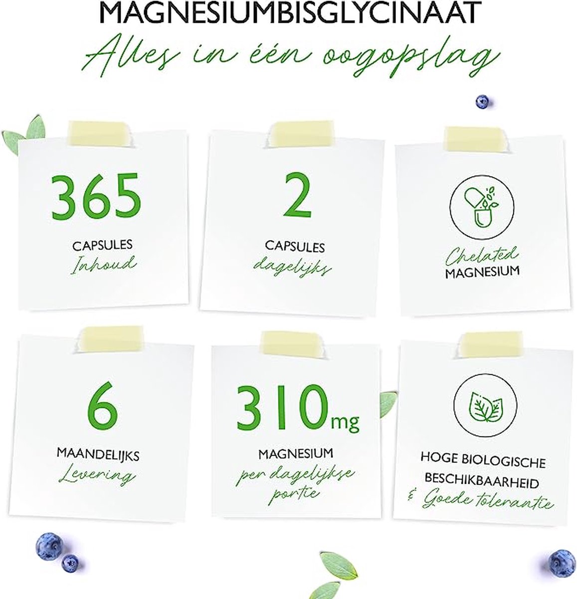 Magnesium bisglycinaat - 365 capsules - Premium: Chelated magnesium ...
