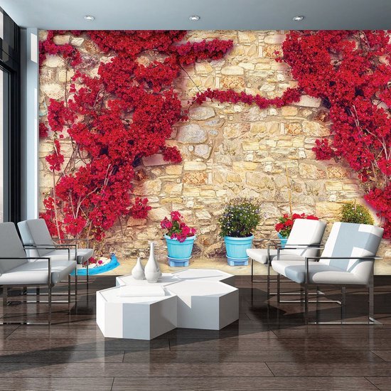 Fotobehang - Vlies Behang - Stenen Muur met Bougainvillea Bloemen - 416 ...