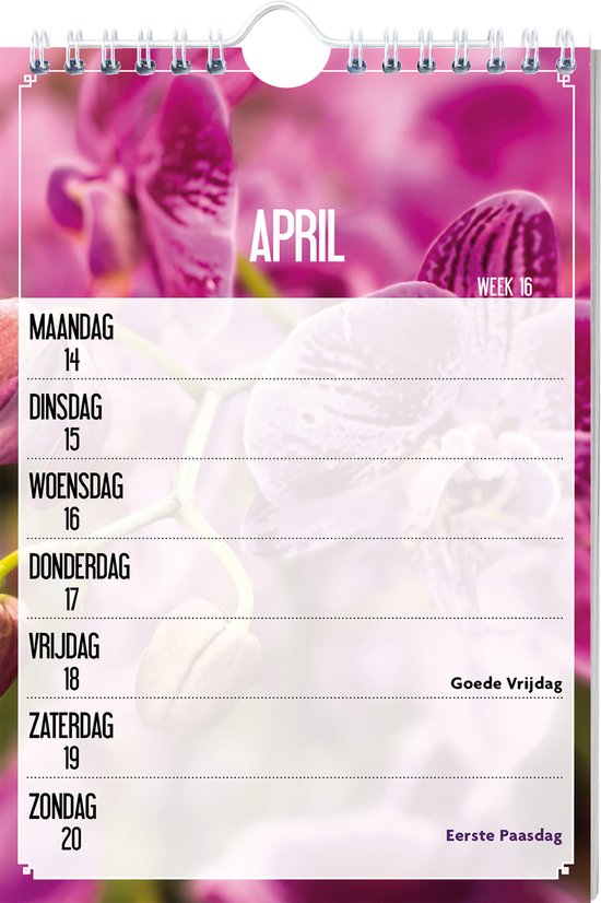 Weekkalender 2025 | bol