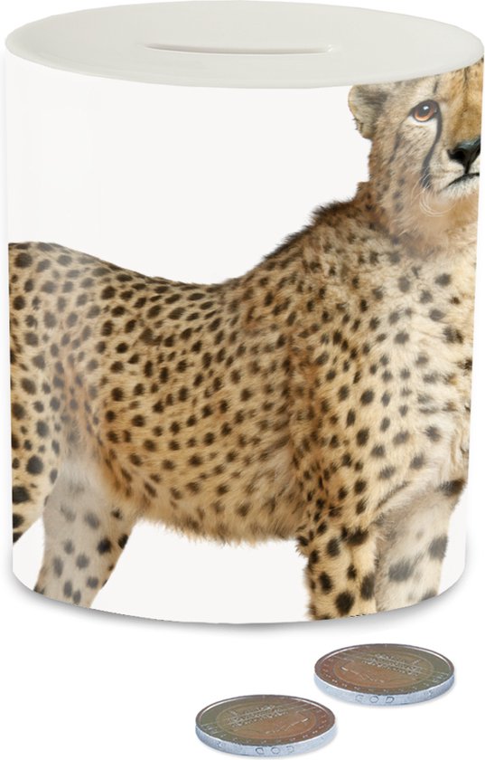 Spaarpot - Spaarblik - Luipaard - Witte achtergrond - Spaarpotten ...