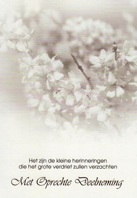 Teksten Rouwbetuiging Met Oprechte Deelneming Kaart Roodborstje