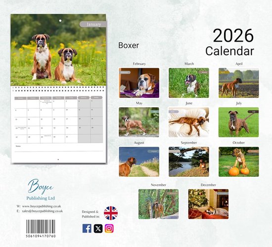 Honden Kalender 2026: Maandkalender A4 Boxer Design met Ruimte voor ...