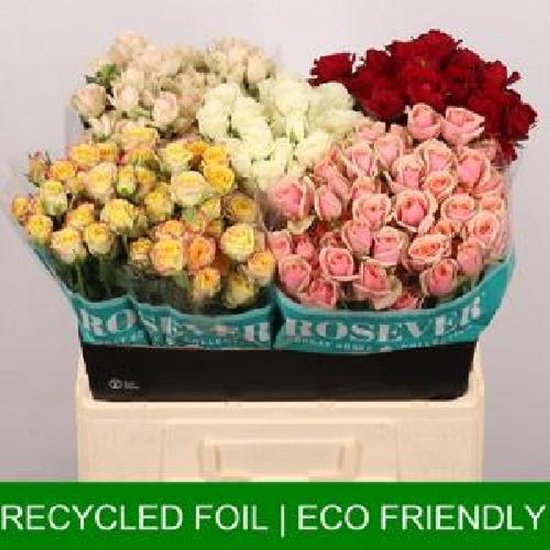 20x Rosa mix var.(t) 40cm | bol
