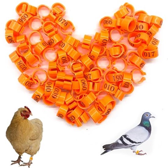 Chicken Rings, Chicken Rings, Bird Rings, 100 Pieces, 10 mm, with ...