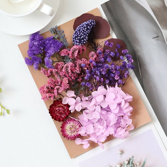 Geperste bloemen voor knutselwerkjes, gedroogde bloemen in bulk ...
