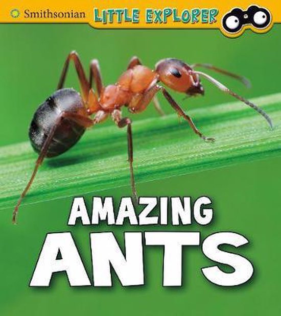 Insect Explorer Amazing Ants, Megan Cooley Peterson | 9781474770569 ...