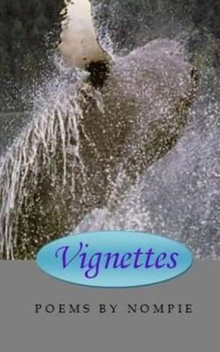 Vignettes, Michael Hawke | 9781502984135 | Boeken | bol