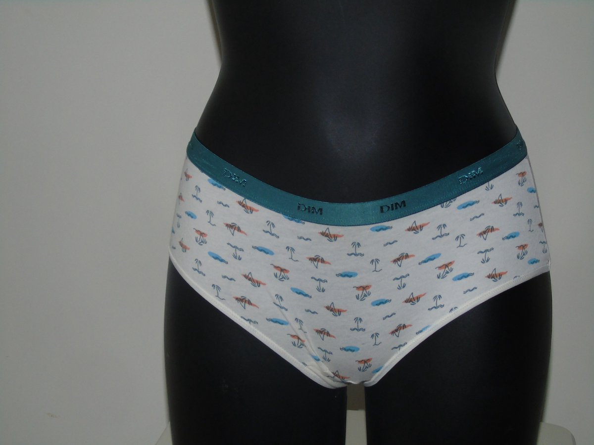 Ondergoed Dames - no etiket - 4 Stuks - COTTON STRETCH - 4 PACK - maat L - DIM Dames... | bol