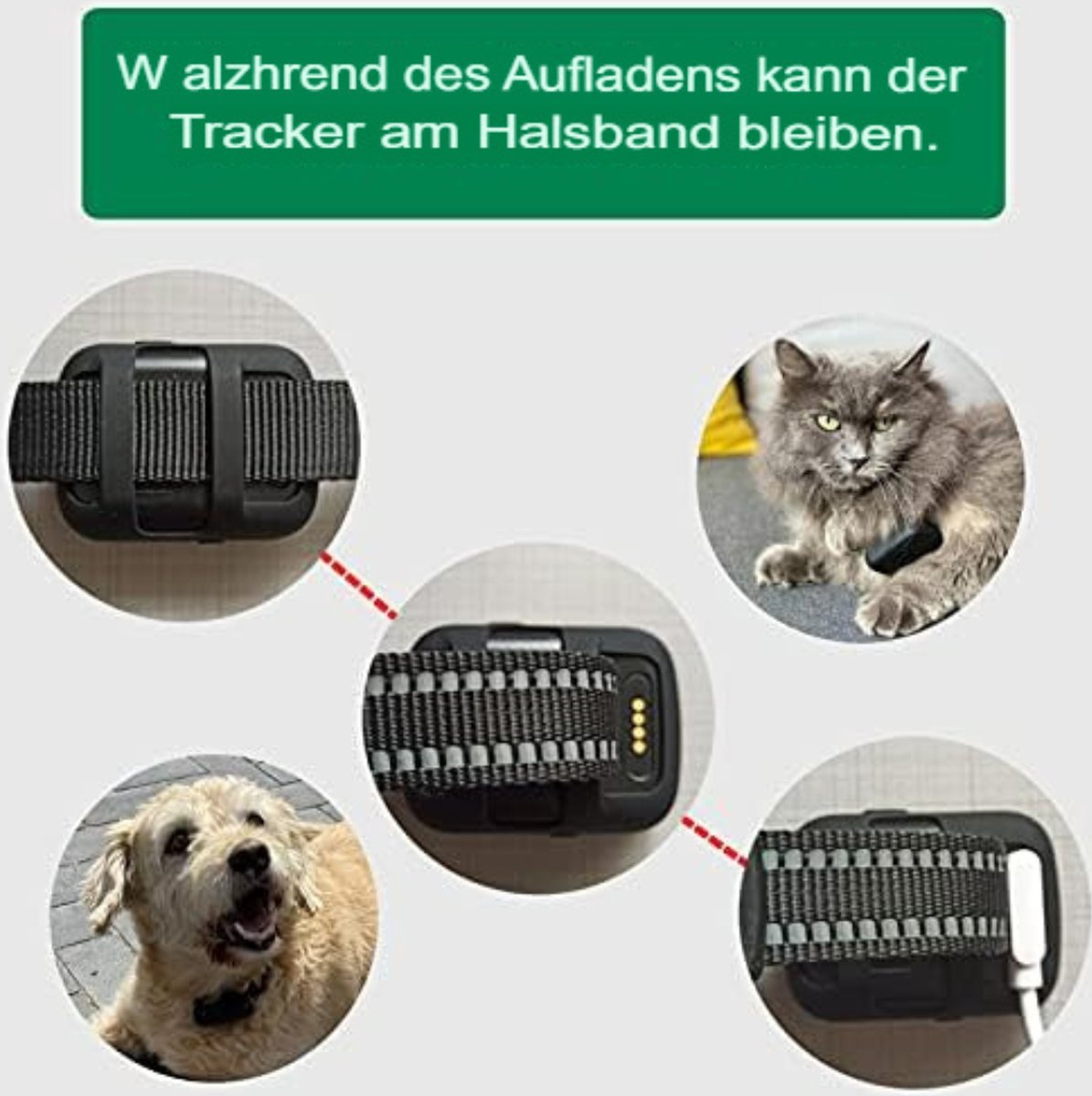 Tracker Dog - Tracker Cat - Tracker Pet - Tracker GPS Tracking System ...