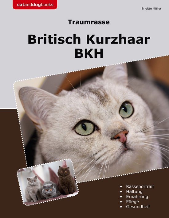Traumrasse Britisch Kurzhaar (ebook), Brigitte Muller | 9783759789709 ...