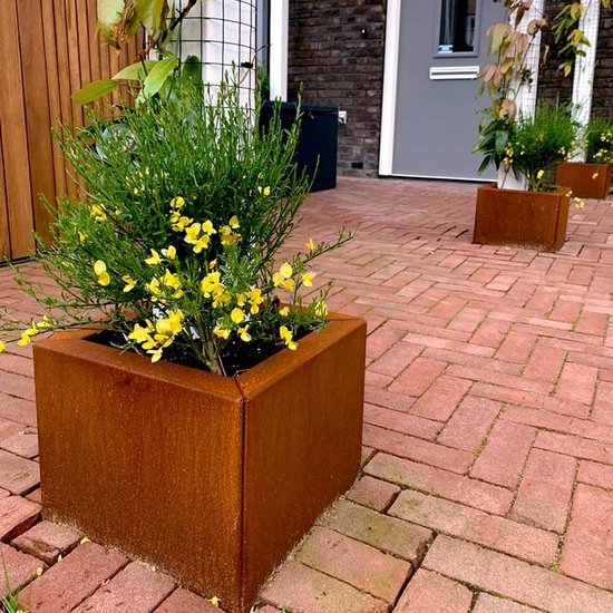 MySteel Cortenstaal plantenbak Miami cm L30 x B30 L Hoogte: 60 cm | bol