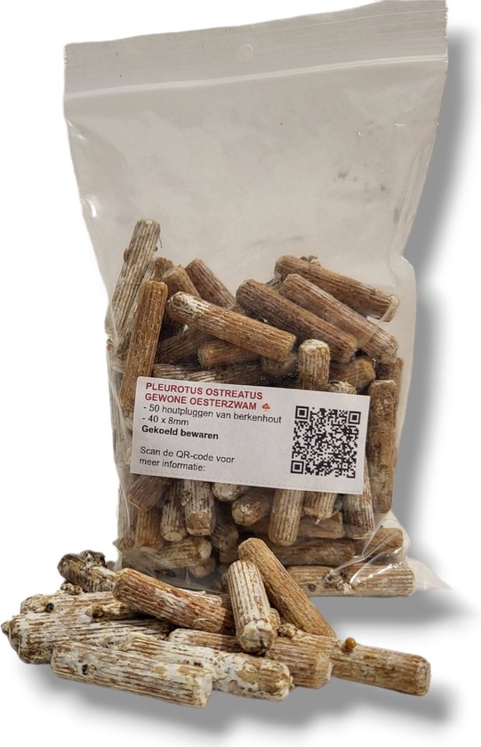 50 pluggen voor Grijze oesterzwam - Pleurotus ostreatus deuvels voor ...